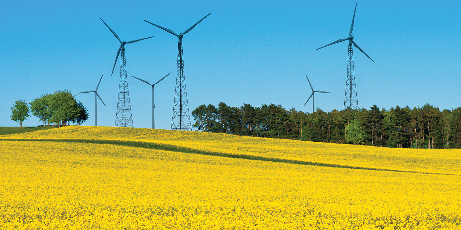 STEM: Energy Solutions in Germany | EF Tours for Girls